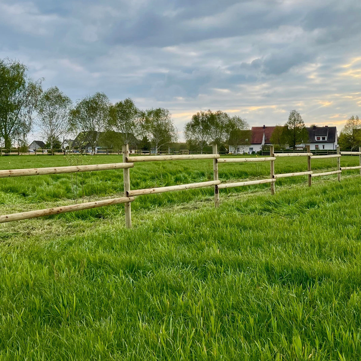 Weidezaun richtig aufbauen – Anleitung für stabile & langlebige Zäune ...