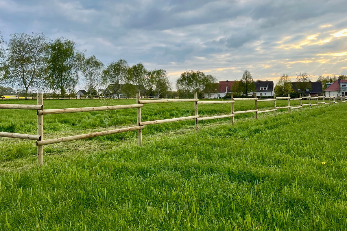 Weidezaun richtig aufbauen – Anleitung für stabile & langlebige Zäune ...